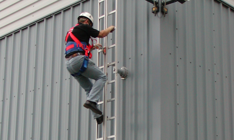 Ladder access | ProNet Safety